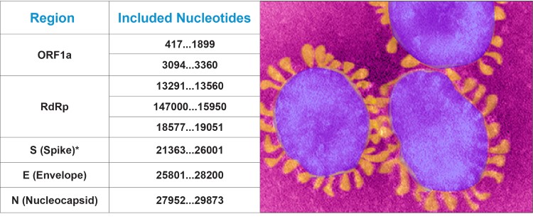AccuPlex SARS-CoV-2 Materials